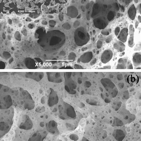 Typical Morphologies Of The Combustion Products Before And After Heat