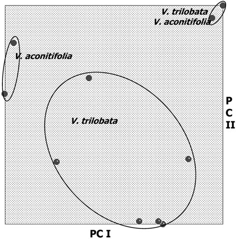 Principal Components Analysis Ordination Of Wild Asian Vigna Species In