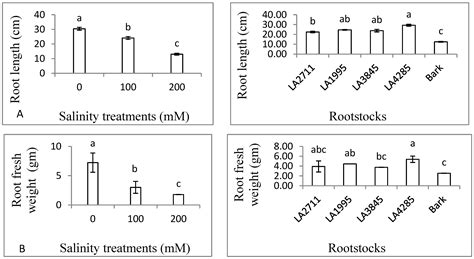 Genetic Characterization Agro Morphological And Physiological Evaluation Of Grafted Tomato