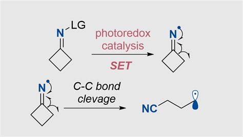 Organic Radical Chemistry The Xiao Group