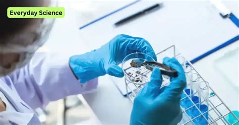 General Science Mcqs With Answers 50 Best Questions