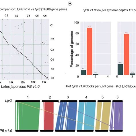 Inter Genome Comparison A Dotplot To Visualize Pairwise Synteny B Download Scientific
