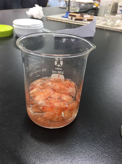 Research Of An Antibacterial Preservative Of Chitin From Shrimp Shells Inova Croatia