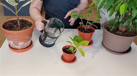 Цэцэг усалгаа Youtube