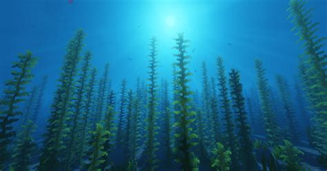 Solas Shader Minecraft France