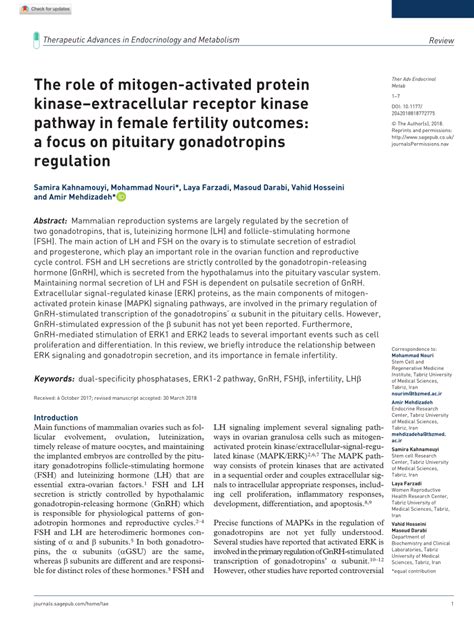 Pdf The Role Of Mitogen Activated Protein Kinaseextracellular