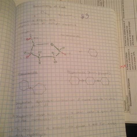 Dehydration Synthesis And Hydrolysis