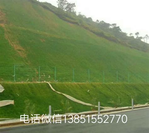 护坡王 模板 美化 第10页 大山谷图库