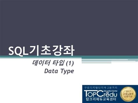 Data Type1 Ppt
