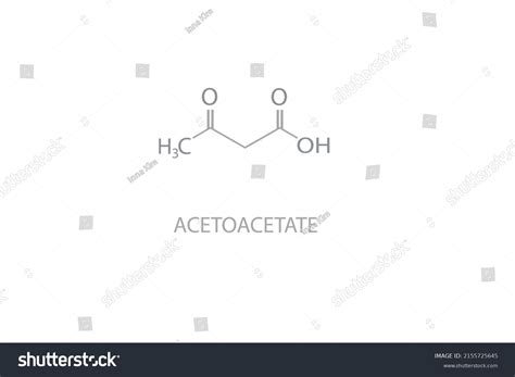 Acetoacetate Molecular Skeletal Chemical Formula Stock Vector Royalty Free 2155725645