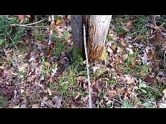 Pissing On Trees Fall Edition Xxx Mobile Porno Videos Movies IPornTV Net