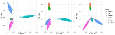 Principal Component Pc Analysis Of The Included Spanish Dairy Sheep Download Scientific