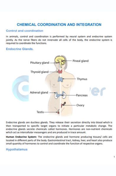 Cbse Class11 Biology Chemical Coordination And Integration Notes