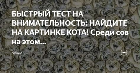 БЫСТРЫЙ ТЕСТ НА ВНИМАТЕЛЬНОСТЬ НАЙДИТЕ НА КАРТИНКЕ КОТА Среди сов на этом… Grazia Дзен