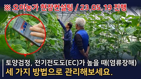 Ec전기전도도가 높은 오이밭 염류집적염류장해 이렇게 해결해보세요 오이컨설팅오이밭토양관리 Youtube