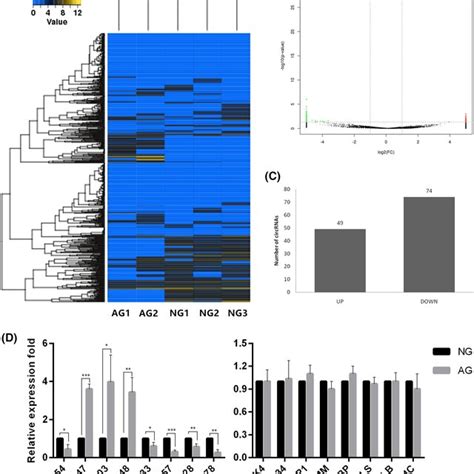 Differential Expression Of Circrnas Between Ag And Ng A Hierarchical
