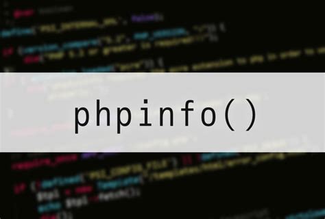 初心者向けphpMyAdmin入門 CodeCampus