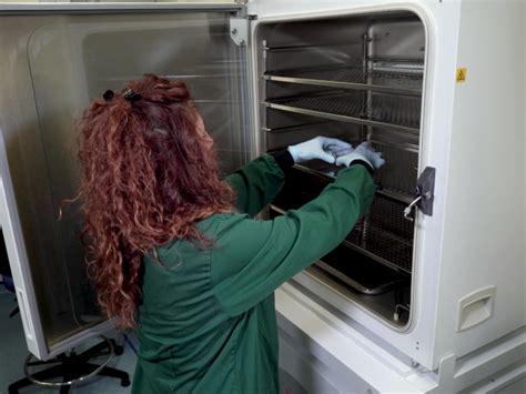 Video An Oligonucleotide Based Tandem Rna Isolation Procedure To