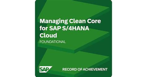 Liyon Sv On Linkedin Managing Clean Core For Sap S4hana Cloud Record Of Achievement Was