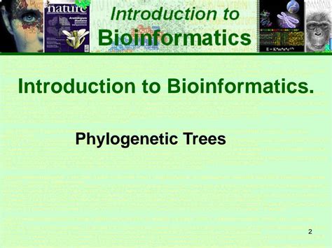 Solution Introduction To Bioinformatics Studypool