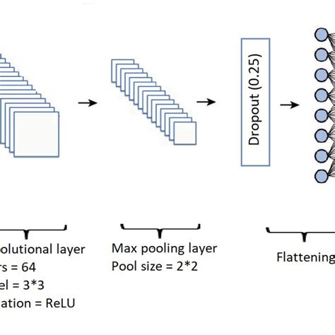 architecture and parameters of the convolutional neural network cnn