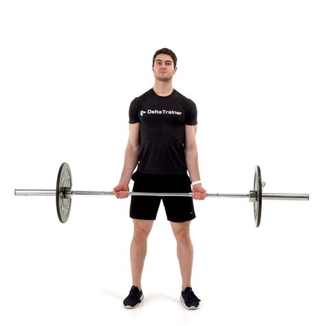 Exercises Trainwell