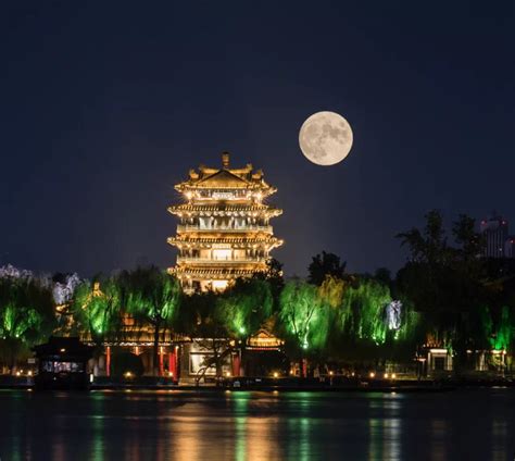 赏月夜游受热捧