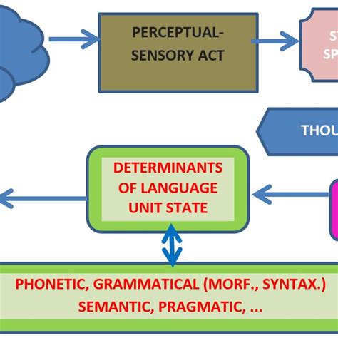 Extended Scheme Of States Of Linguistic Units Download Scientific Diagram
