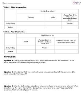 Diffusion And Osmosis Lab By Cell Fie Science Teachers Pay Teachers