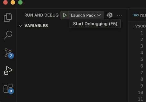Setting Up The Go Debugger In Vscode