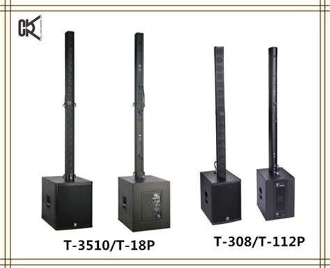 China Dsp Speaker System Powered Line Array Column Systems China