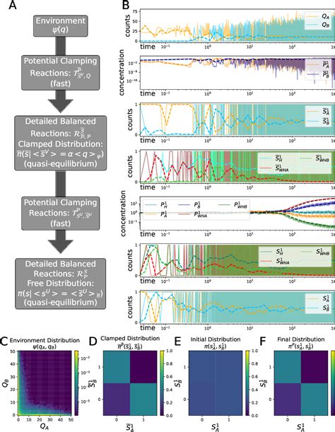 Autonomous Learning Of Generative Models With Chemical Reaction Network Ensembles Paper And