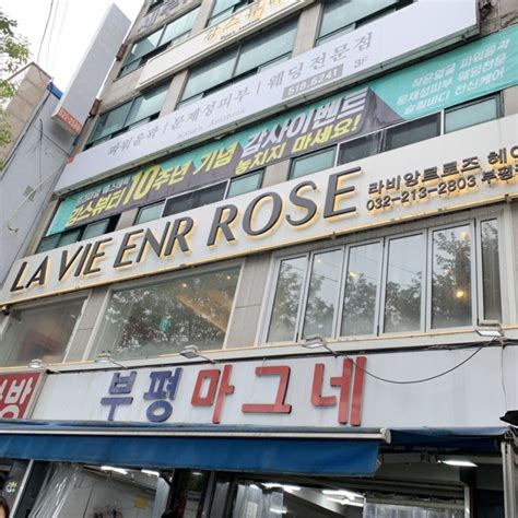 기분전환 머리변신 라비앙르로즈 부평점 부평역 미용실 부평 미용실 추천 탈색 맛집 네이버 블로그