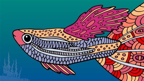Illustrator One On One Mastery Custom Career Content Toppel Career