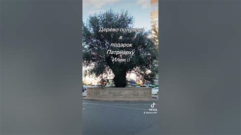 ТБИЛИСИ А вы знали об этом тбилиси Tbilisigeorgia Tbilisi Youtube