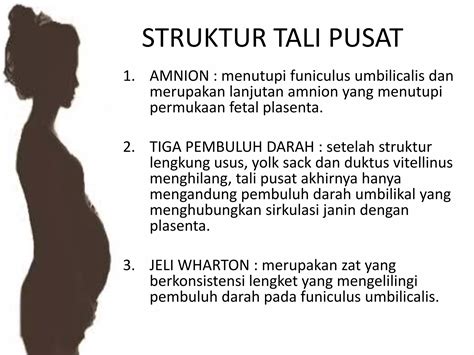 Struktur Fungsi Amnion Plasenta Dan Tali Pusat Ppt Free Download