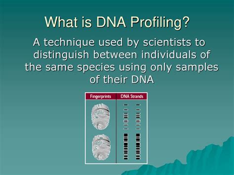 Dna Profiling Dna Fingerprinting Ppt Download