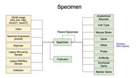 Submitting Specimen Data Updated Atlas D2k Center