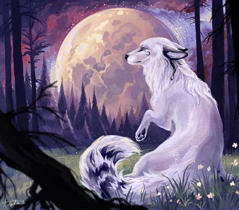 Veta Art Rus Amino