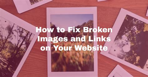 Fix Broken Links After Server Migration