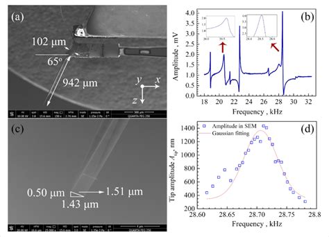 A Sem Observation Of A Qplus Sensor With An Attached Tungsten Tip Download Scientific Diagram