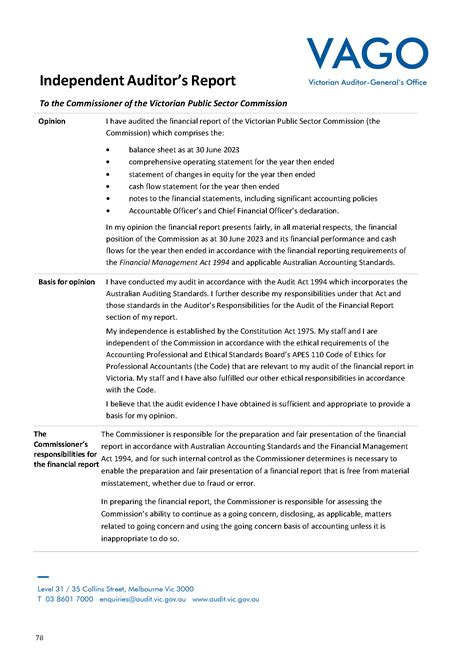 Independent Auditors Report Vpsc