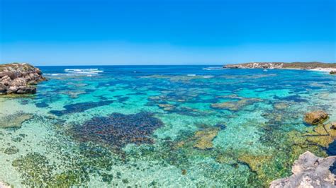 여기는 꼭 호주 바다 여행 퍼스 프리맨틀 킹스파크 로트네스트섬 쿼카 뉴여행탐구