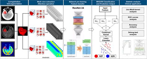 Frontiers Machine Learning Derived Multimodal Neuroimaging Of