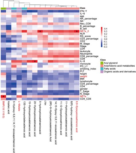 Machine Learning Based On Metabolomics Unveils Neutrophil Extracellular Trap Related Metabolic