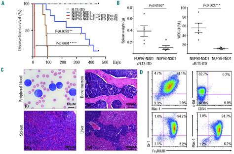 Potent Co Operation Between The Nup98 Nsd1 Fusion And The Flt3 Itd