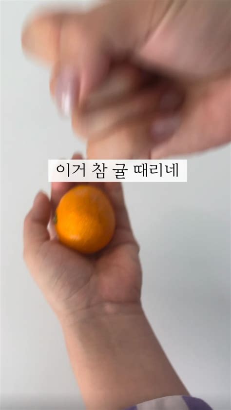 플라스틱 공부방 과학적살림 미주알고주알 저는 제가 살림천재인줄 알았어요🤣 애호박 쓰다보면 다 못쓰고 잘린 부분이 공기에 닿게되서 무르거나 마르게되는데