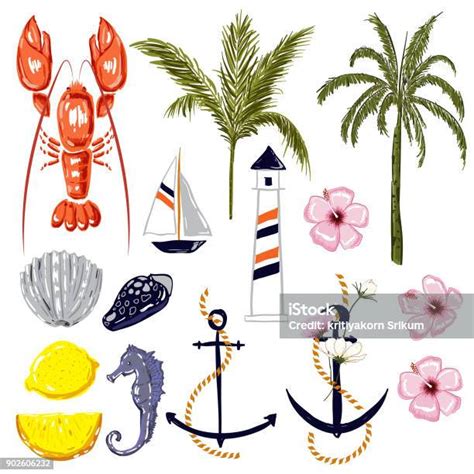여름 느낌 랍스터 쉘 배 코코넛과 야자수 나무 레몬 히 비 스커 스 꽃에 여름 스타일을 그리기 세트 일러스트레이션에 대한 스톡 벡터 아트 및 기타 이미지 Istock