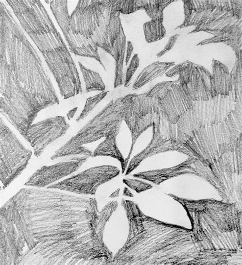 Drawing Class Berlin Drawing Room