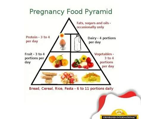 The Special Food Pyramid For Pregnant Women Healthy Food Near Me